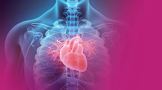 Microport | Bradycardia
